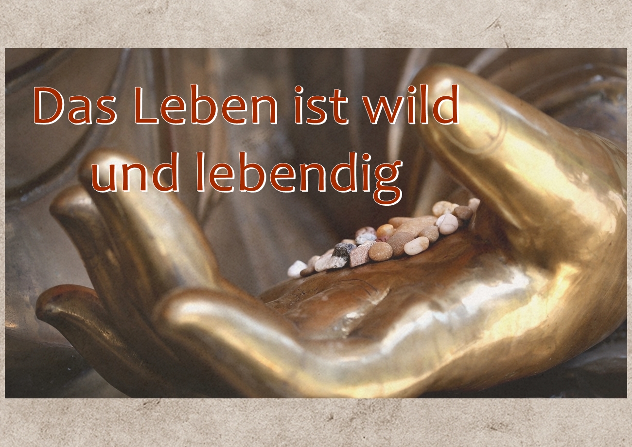 Das Leben ist wild und lebendig – LEBENSRADWEG
